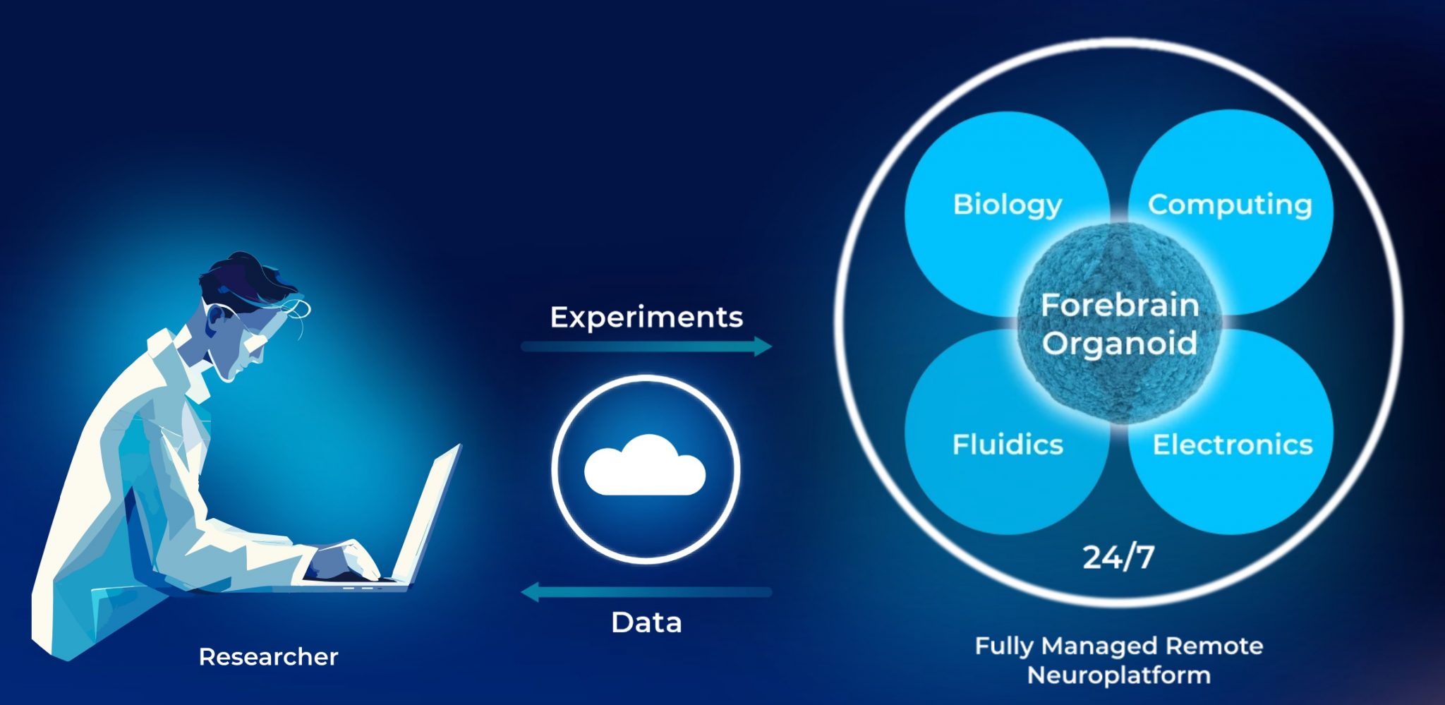 Startup creates bioprocessor platform using neurons